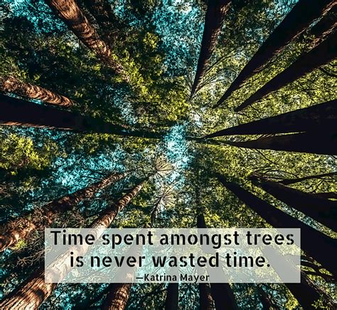 Цитаты на английском о природе с переводом Greenworld Today эконовости и экохитрости