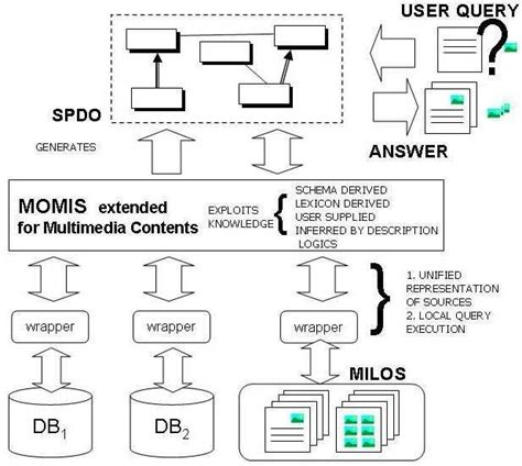 The Functional Architecture Download Scientific Diagram