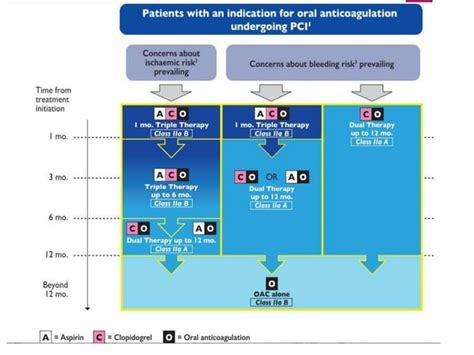 Anti Platelets Pptx