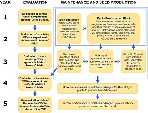 Chapter 6 Breeding Methods Crop Improvement