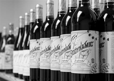 Biodynamic Winemaking — Frey Vineyards