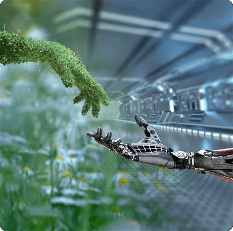 Adsoft Software Development Company