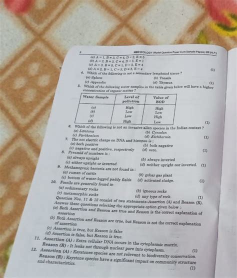 Z Mbo Eidlcoy Model Ovenson Faper Cum Sinmpla Papera Xii Hp C A