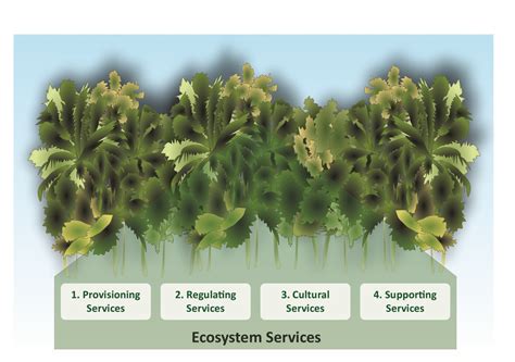 The Ecosystem Services Lens Understanding Fivebecomings Project Impact