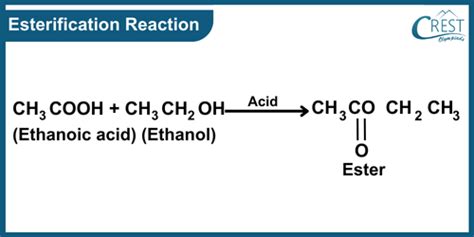 Class 10 Carbon And Its Compounds Key Concepts Explained