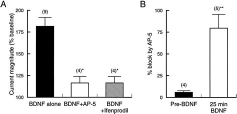 Blockade Of Nr2b Containing Nmda Receptors Prevents Bdnf Enhancement Of Glutamatergic
