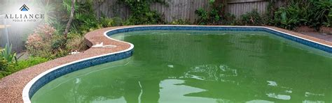 How To Avoid Cloudiness In Your Pool After Shock Treatment