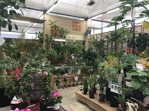 植物とエクステリア専門店 ﾌﾗﾜｰｶﾞｰﾃﾞﾝ泉でも Benir du lac湖の恵