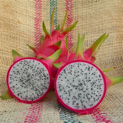 Pitaya Mexicana Fruta Why Dragon Fruit Is Healthy