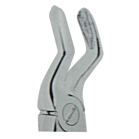 Independent Tooth Extraction Forceps And Pedodontic Forceps Independent Dental Supplies