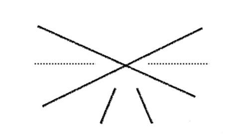 Agile Coaching Competency Framework Universidade Ágil Uniagil