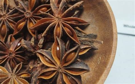 Autumn Star Anise K Agriculture Best Star Anise In Vietnam