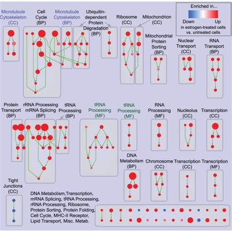 Pdf Enrichment Map A Network Based Method For Gene Set Enrichment