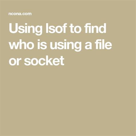 Using Lsof To Find Who Is Using A File Or Socket