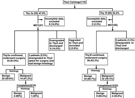 Malignancy Rates And Initial Management Of Thy3 Thyroid 50 Off