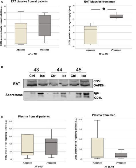 Cd5l Macrophage Apoptosis Inhibitor Was Identified In Epicardial Fat
