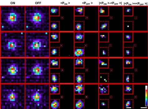 Achieving Nanoscale Precision Using Neuromorphic Localization