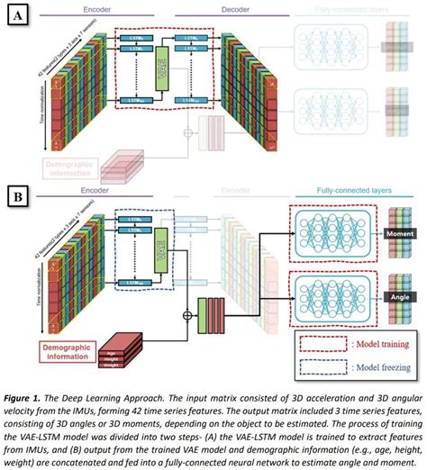 Deep Learning Driven Estimation Of Knee Kinematics And Kinetics From Inertial Sensors During