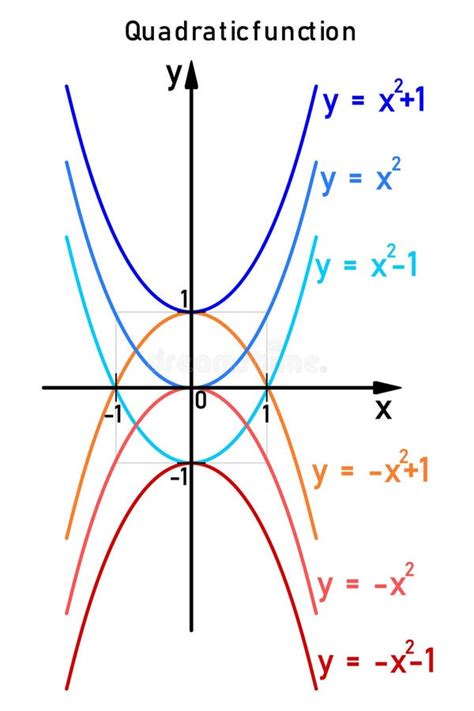Quartic Function Examples