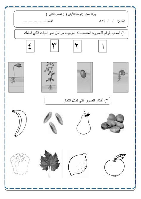 علوم الصف الاول Online Exercise For Live Worksheets