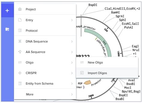 Benchling For Molecular Cloning Workflow Design And Record Keeping