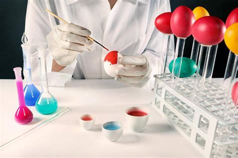 Кариерен център към Факултет по химия и фармация на СУ Св Кл Охридски Home Facebook