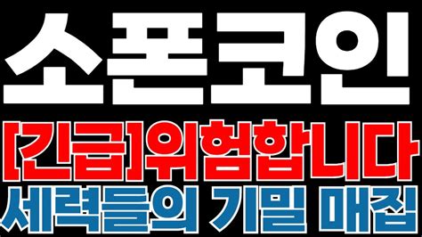 소폰 코인전망 많이 위험합니다⚠ 세력들은 이후 이 자리에서 기밀로 매집합니다 모르시면 정말 후회하실겁니다🔥 꼭 영상