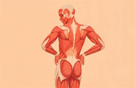 Find Relief Scoliosis Tips For Back Spasms Lower Back Treating Scoliosis