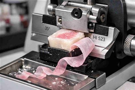 Histology Equipment Guide Processors Microtomes And More