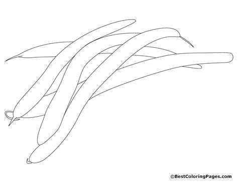 String Beans Drawing At Getdrawings Free Download