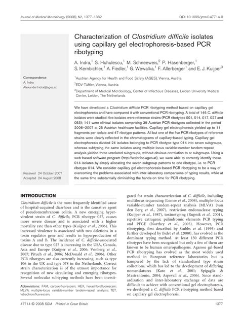 Pdf Characterization Of Clostridium Difficile Isolates Using
