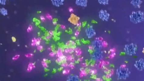 1 დეკემბერი შიდსთან ბრძოლის საერთაშორისო დღეა Youtube