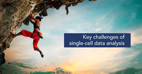 Key Challenges Of Single Cell Data Analysis