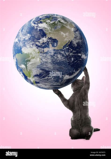 International Cat Day Cute Cat Playing With Earth Globe On Pink