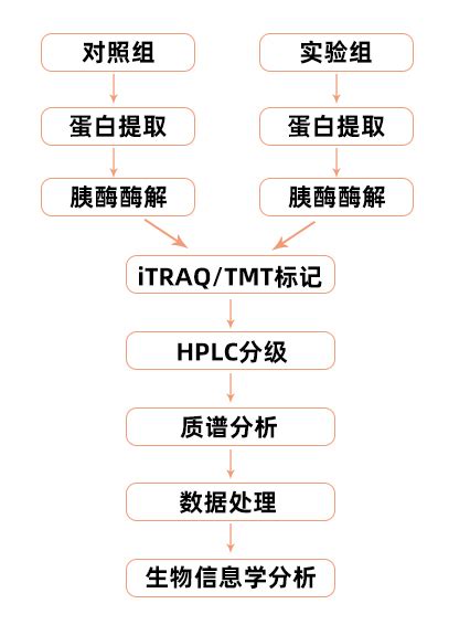 蛋白质组学分析 中科脂典