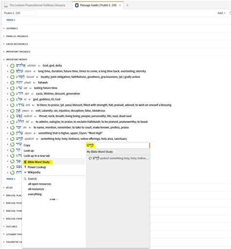 Bug Passage Guide Important Words Context Menu On Lemma Logos Community