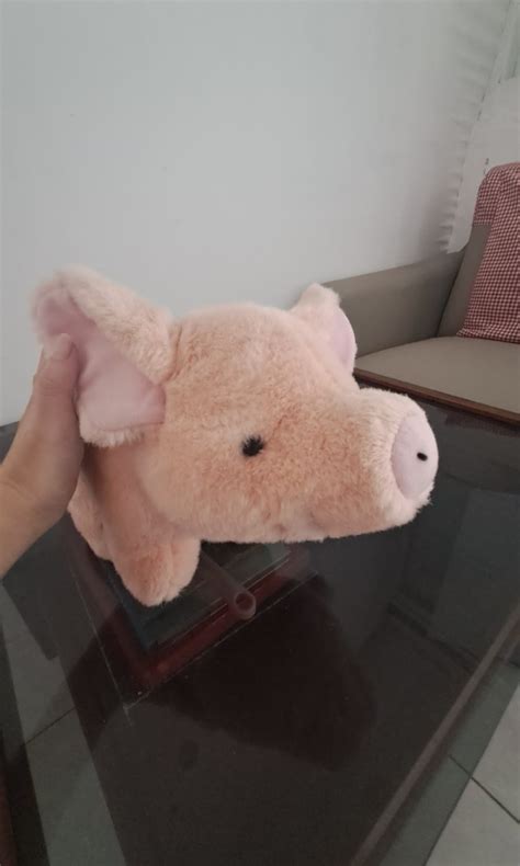 Boneka Babi Toys And Collectibles Mainan Di Carousell