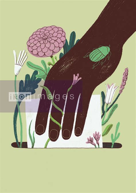 stock illustration of flowers growing around hand inserting vote ikon images