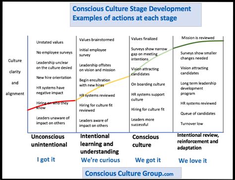 4 Stages Of Conscious Culture Development Conscious Culture Group