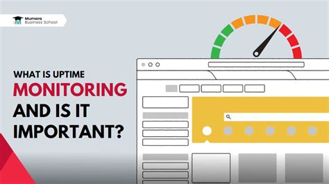 What Is Uptime Monitoring And Is It Important Mumara