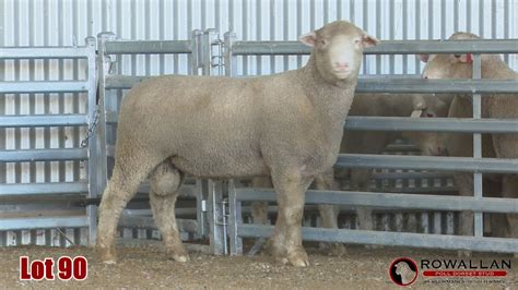 Lot 090 220705 Youtube