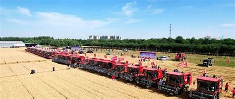 跨区机手对东方红发动机竖大拇指中 刘师傅 小麦 收割机