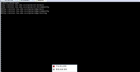 The Alpine Linux Environment Installs Docker Container Records 中文：alpine Linux 环境安装 Docker 容器 记录