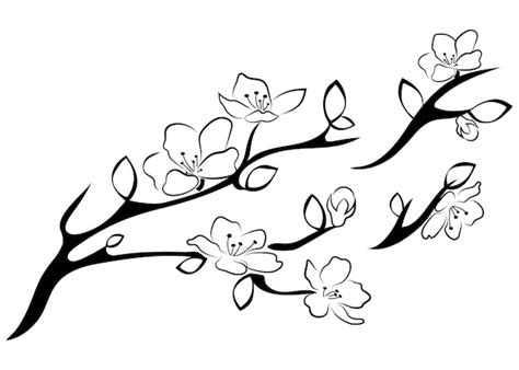 Cherry Blossoms Clipart Black And White Tree