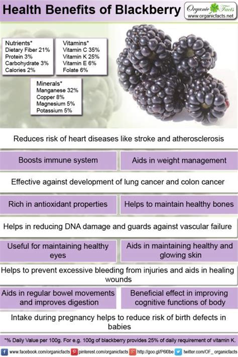 Health Benefits Of Blackberry Organic Facts Health Natural