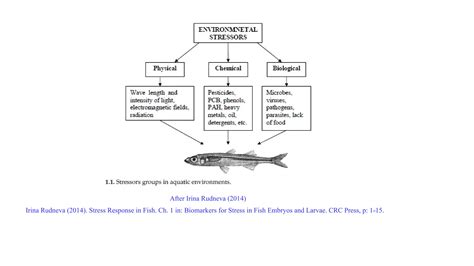 Salinity And Stress During Osmoregulation Pptx
