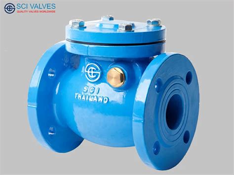 Sci Check Valve