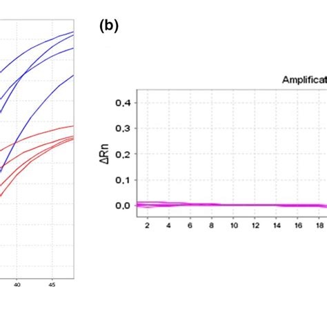 Standardization Of A High‐throughput Method For P Arg337his Genotyping Download Scientific