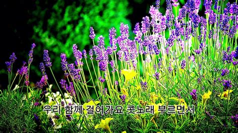 장성현가곡교실 [1944] 우리 함께 걸어가요 ♡전세중 작사 정동수 작곡 Youtube