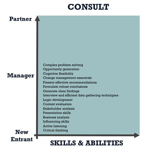 Consulting Excellence The Implications For Professional Development Openside